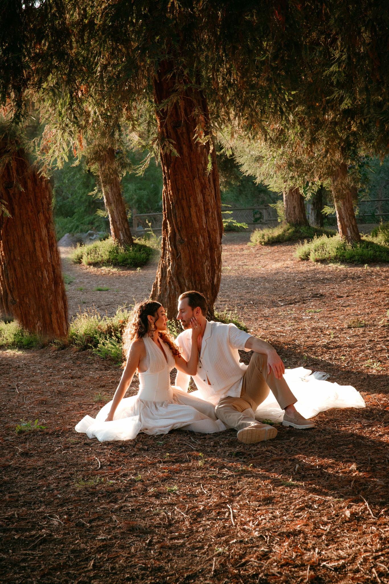 Stephanie Sical and Matthew Palumbo's Wedding Website
