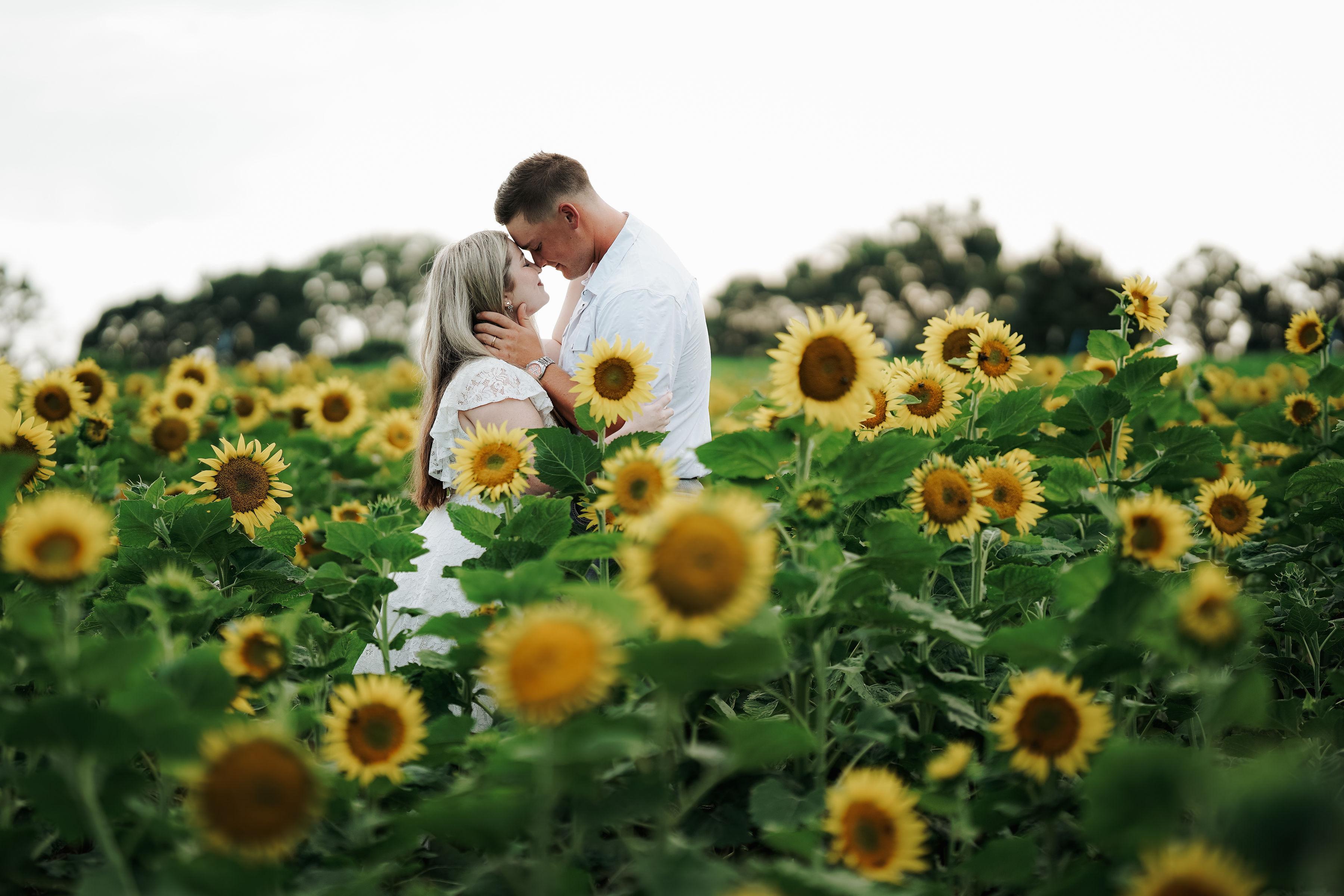 Taylor Church and Christian Williams' Wedding Website