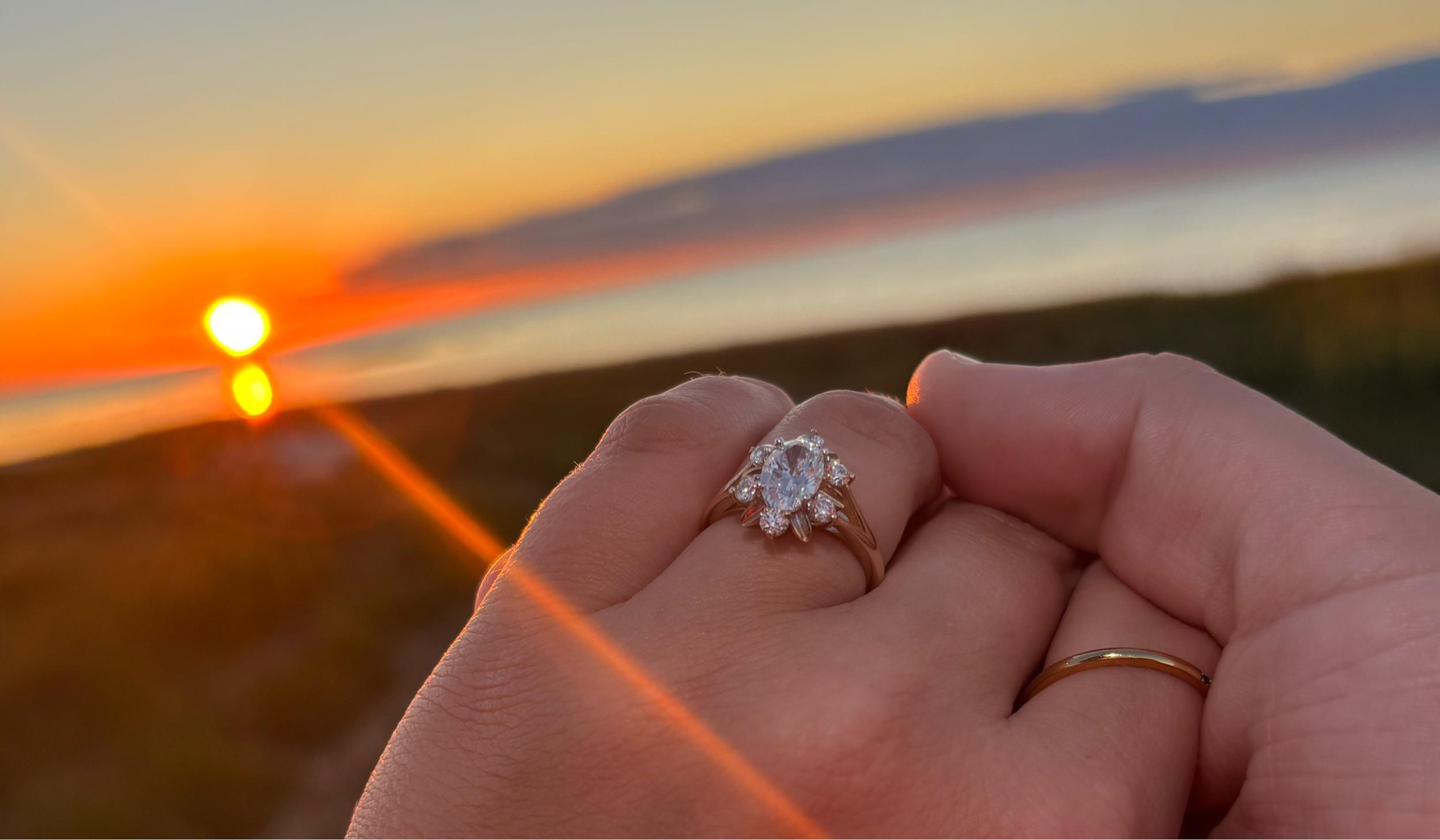 Nicole Conforti and Joe Giorgio's Wedding Website