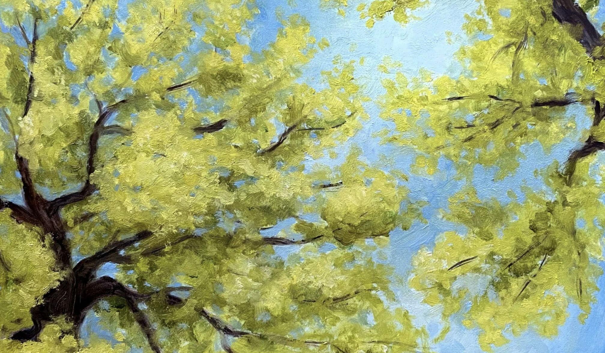 Mollie Putman Donovan and Alexander Michael Hubbell's Wedding Website