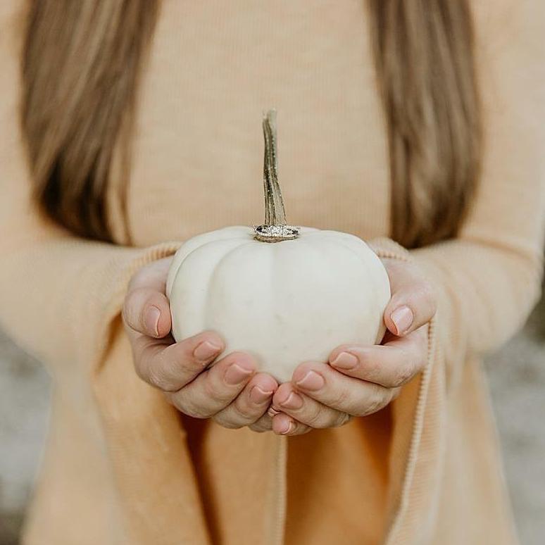 Emily Boone and Christian Shellabarger's Wedding Website