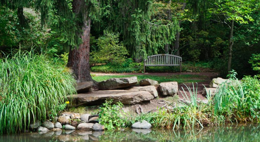 Christine Galanti and Afonso Oliveira's Wedding Website