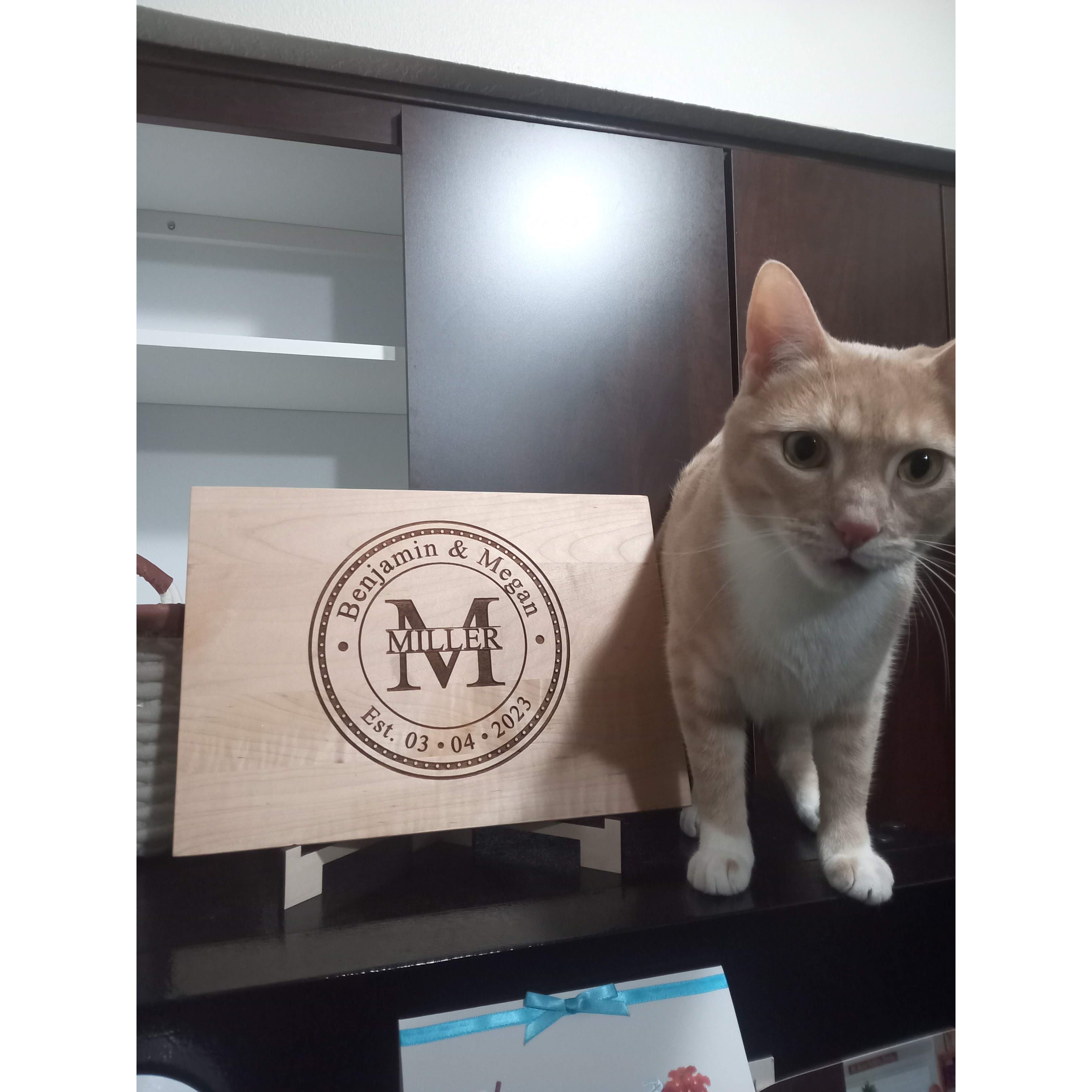 Megan Miller-Wallace and Benjamin Miller's Wedding Website