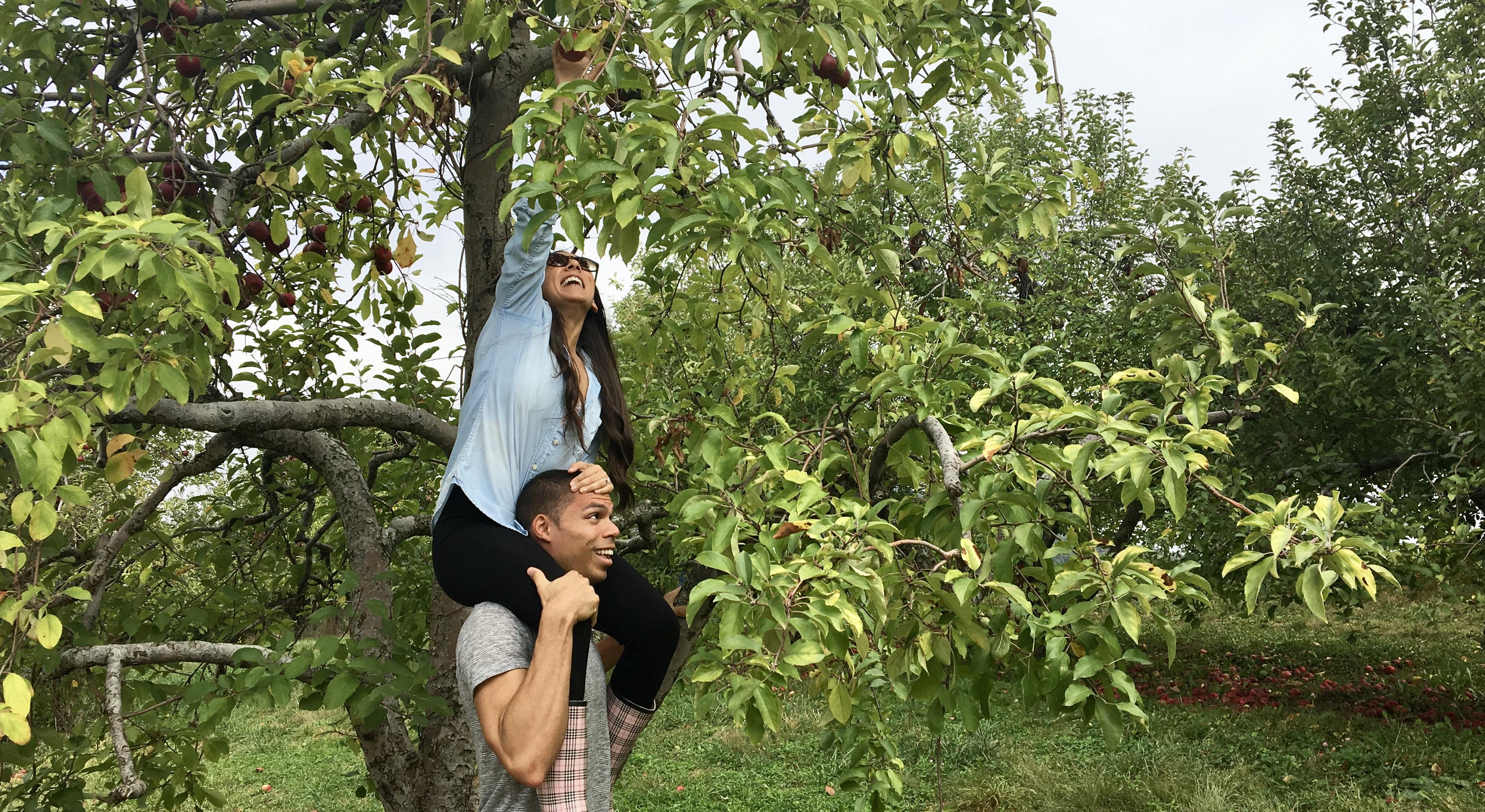 Fay Khan and Daniel Braine's Wedding Website