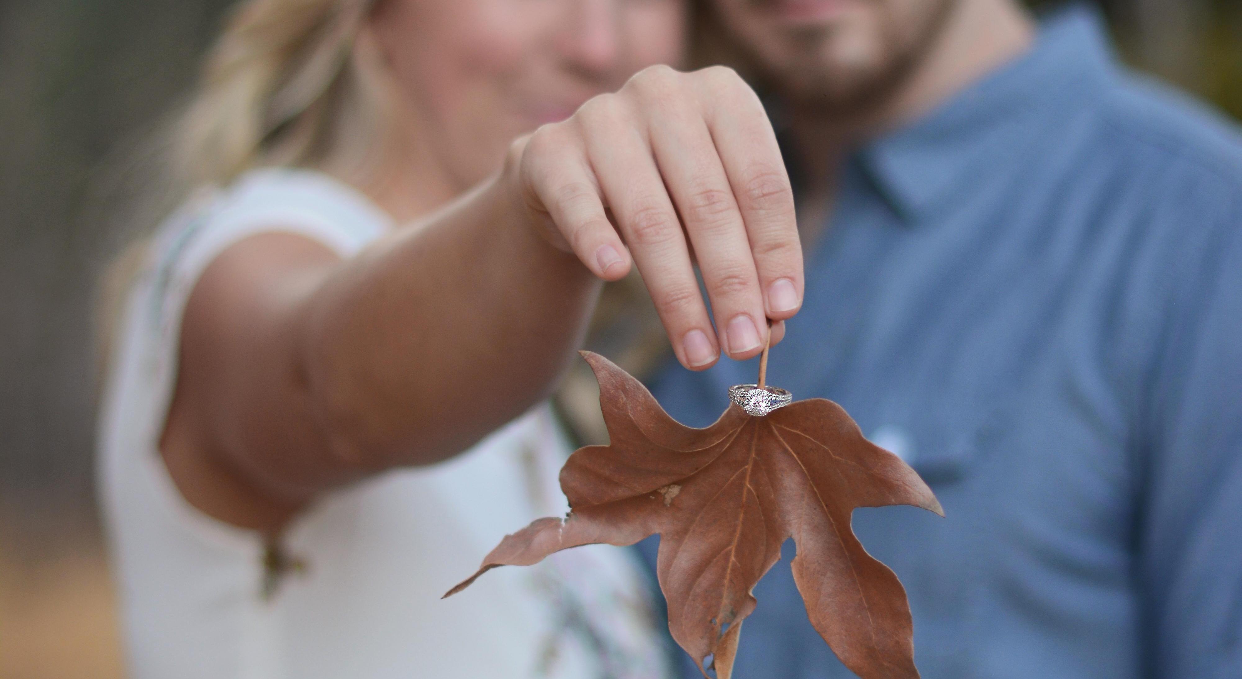 Derek Bahmer and Shannon Springer's Wedding Website