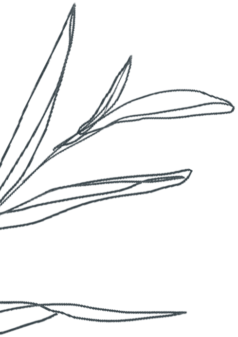 Ashley Babson and Matthew Matson's Wedding Website