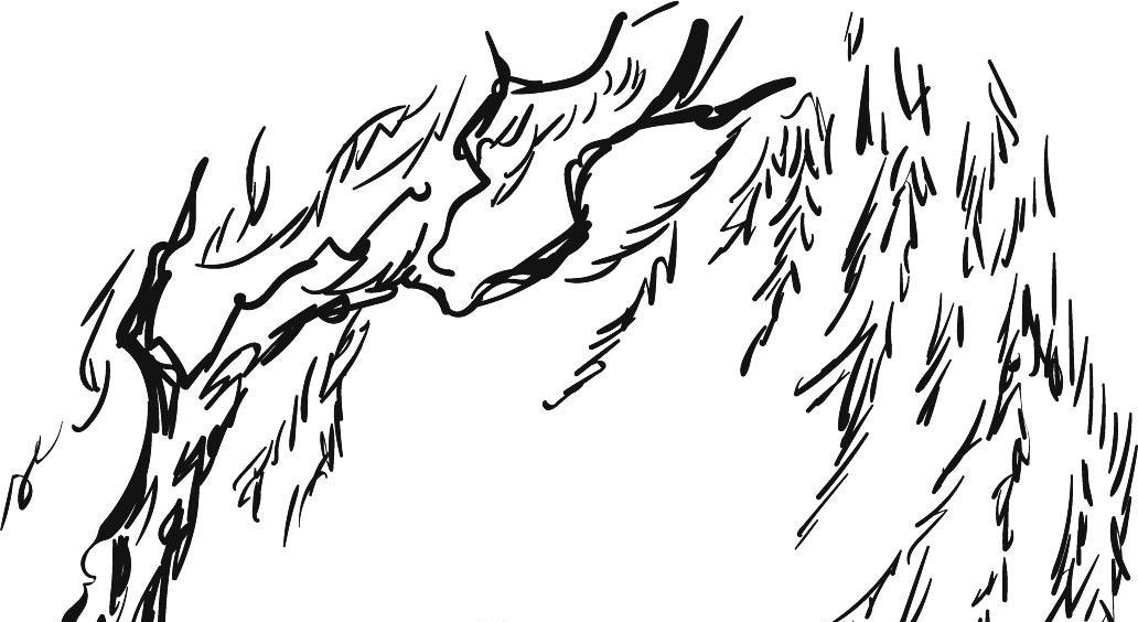 Debbie Bishop and Max Kirkpatrick's Wedding Website