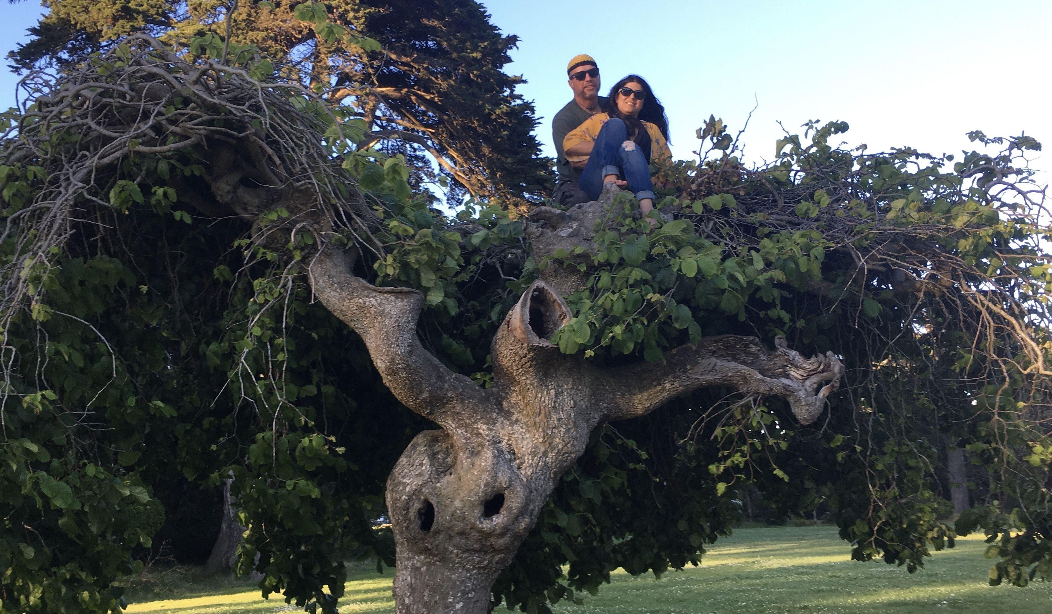 Merisa Rasmussen and Lucan Tue's Wedding Website