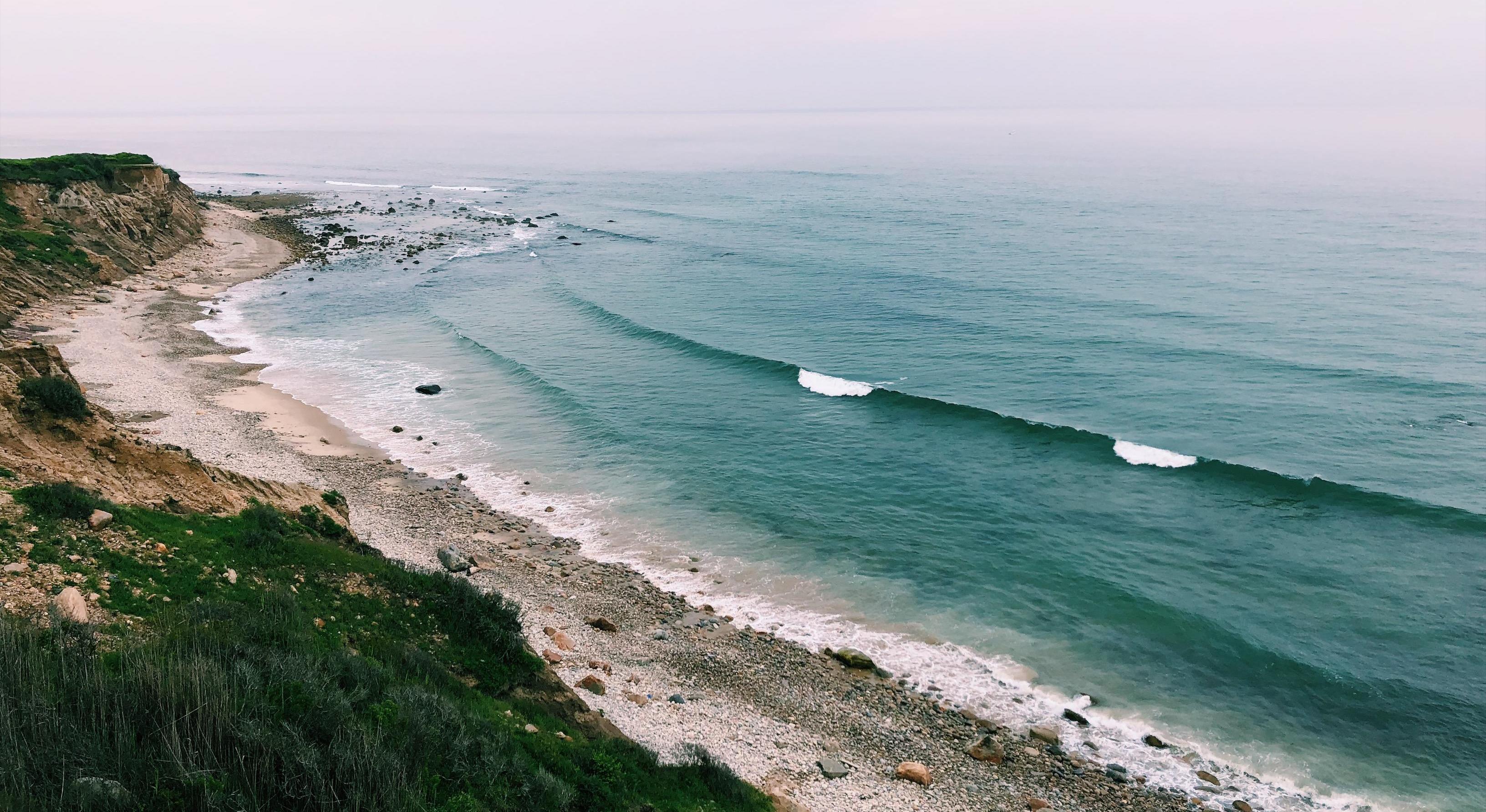 Jamie Wandzilak and David Dragich's Wedding Website