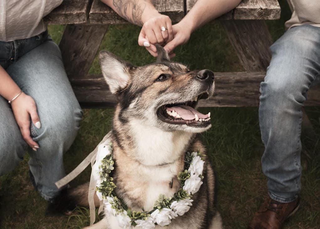 Danielle Lee Duarte and Elijah Jacob Trepanier's Wedding Website