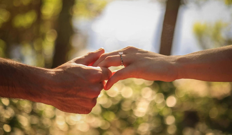Rebekah Bergquist and Brady Lloyd's Wedding Website