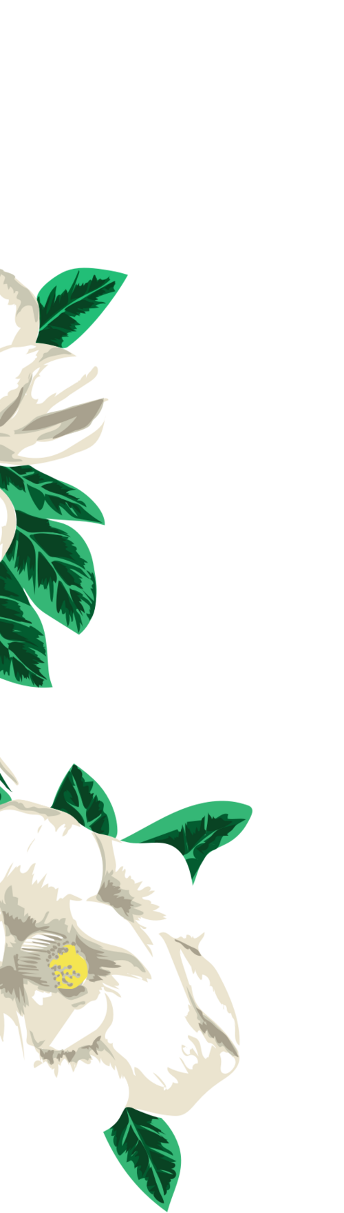 Courtney Cowles and Marcin Staniszewski's Wedding Website