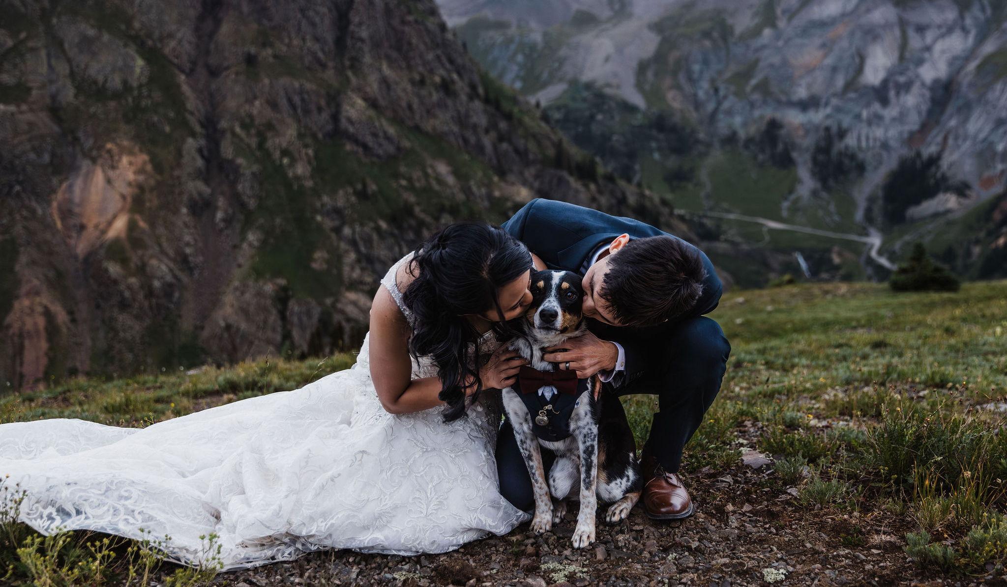 Peter Kent and Janelle Kent's Wedding Website