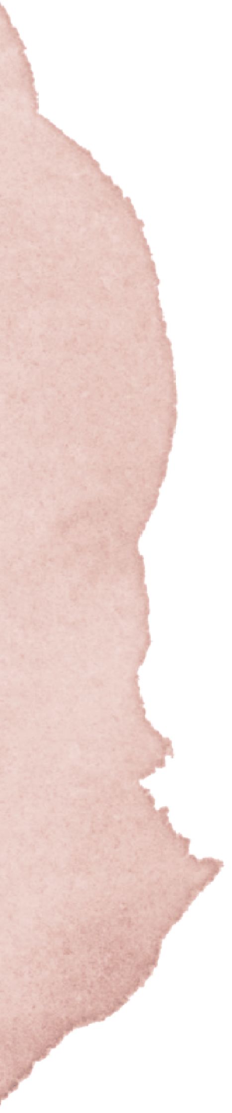 Shelbea Moulin and Lance Creath's Wedding Website