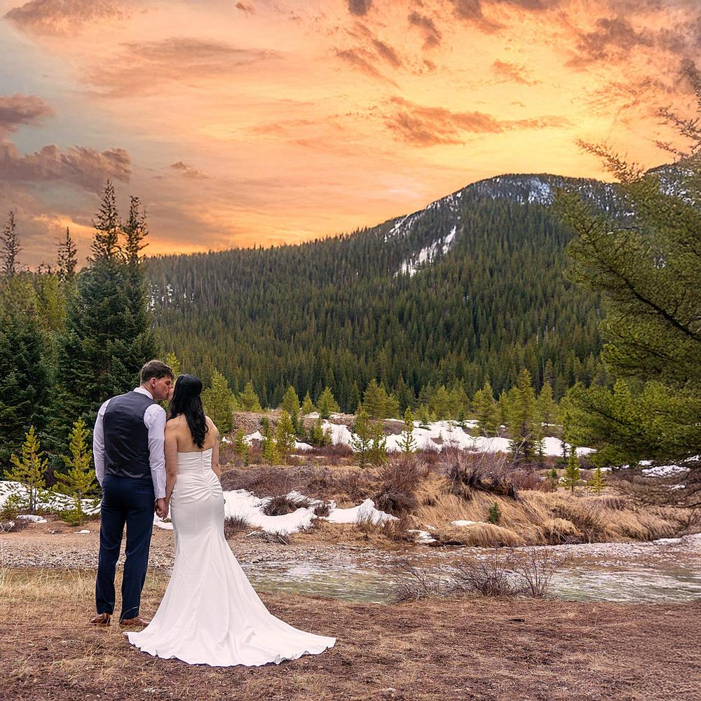 Whitney Gustafson and Kelly Silver's Wedding Website
