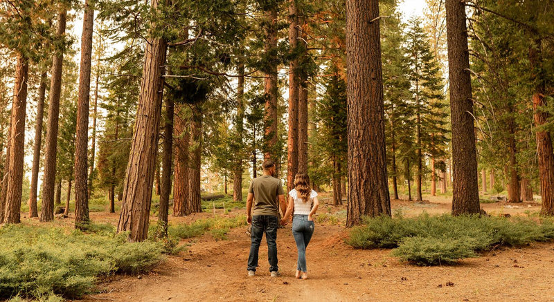 Courtney Sheppard and Brandon Saunders' Wedding Website