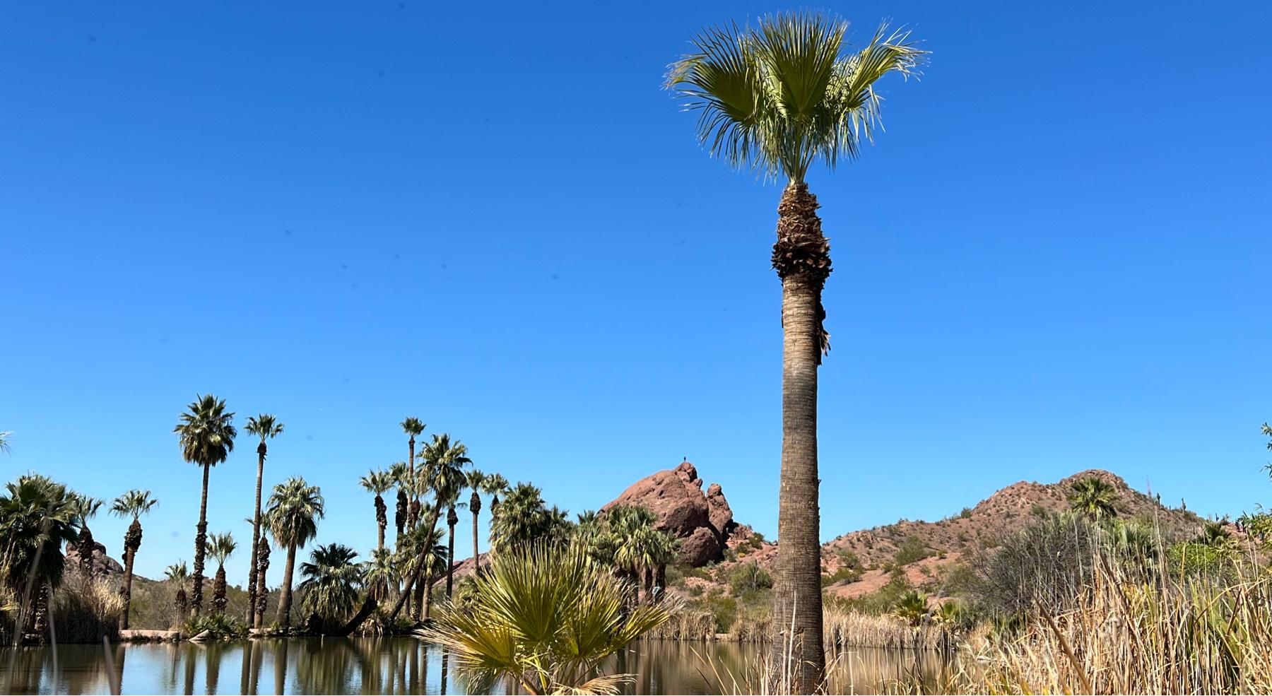 Brandy Blakney and Jason Savell's Wedding Website