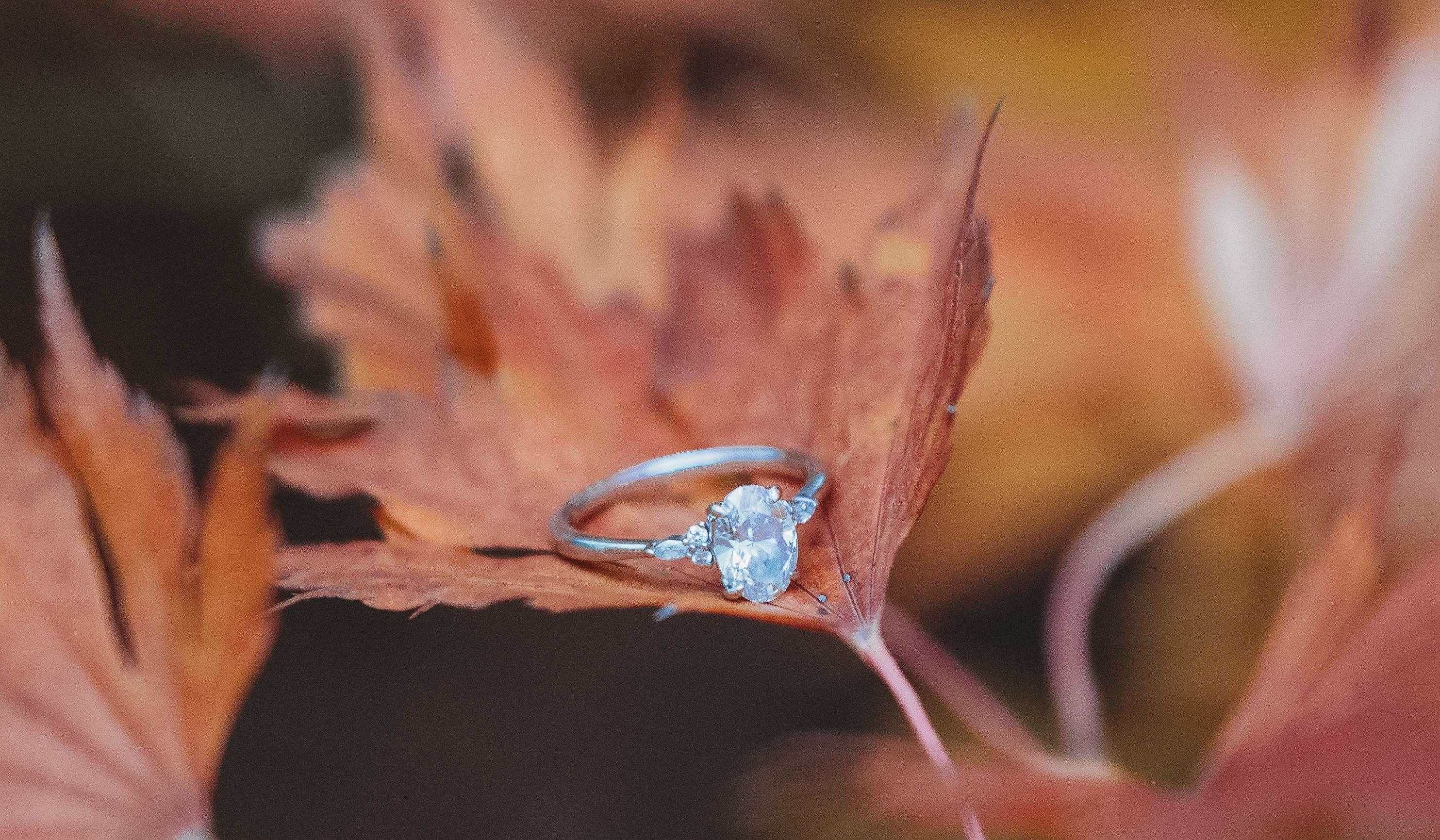 Kara Vesely and Derek Darling's Wedding Website