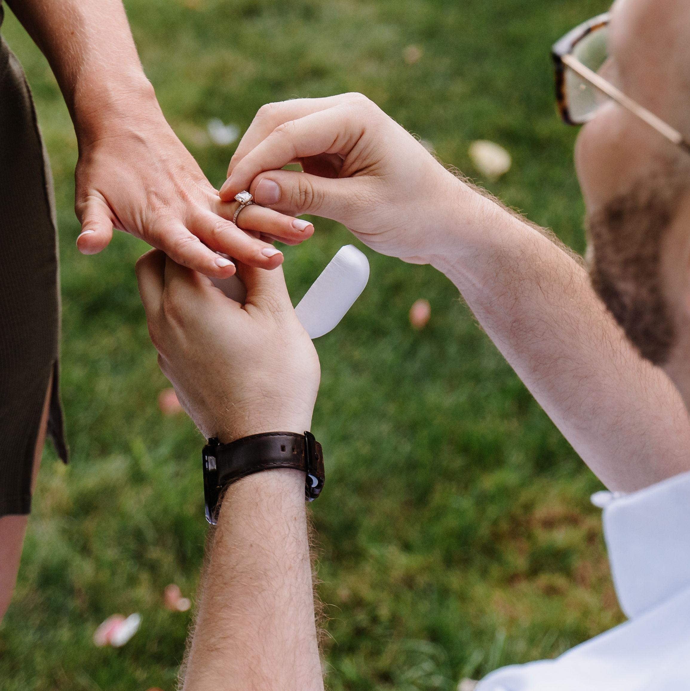 Carlee Bodner and Gregory Field's Wedding Website