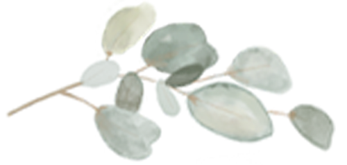 Samantha Hammond and Douglas Dulin's Wedding Website