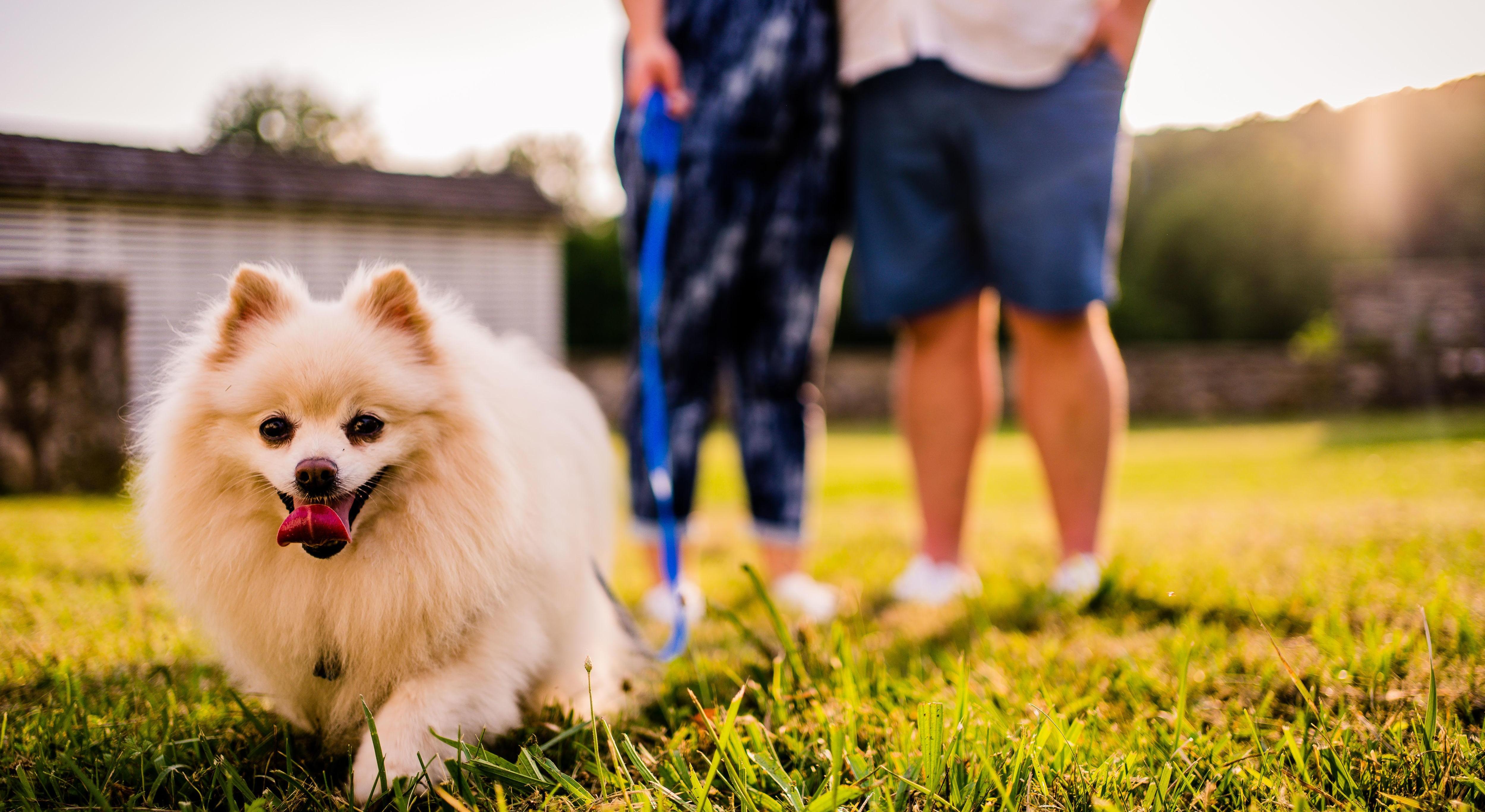 Chelsea Sheppard and Thomas Sottnick's Wedding Website