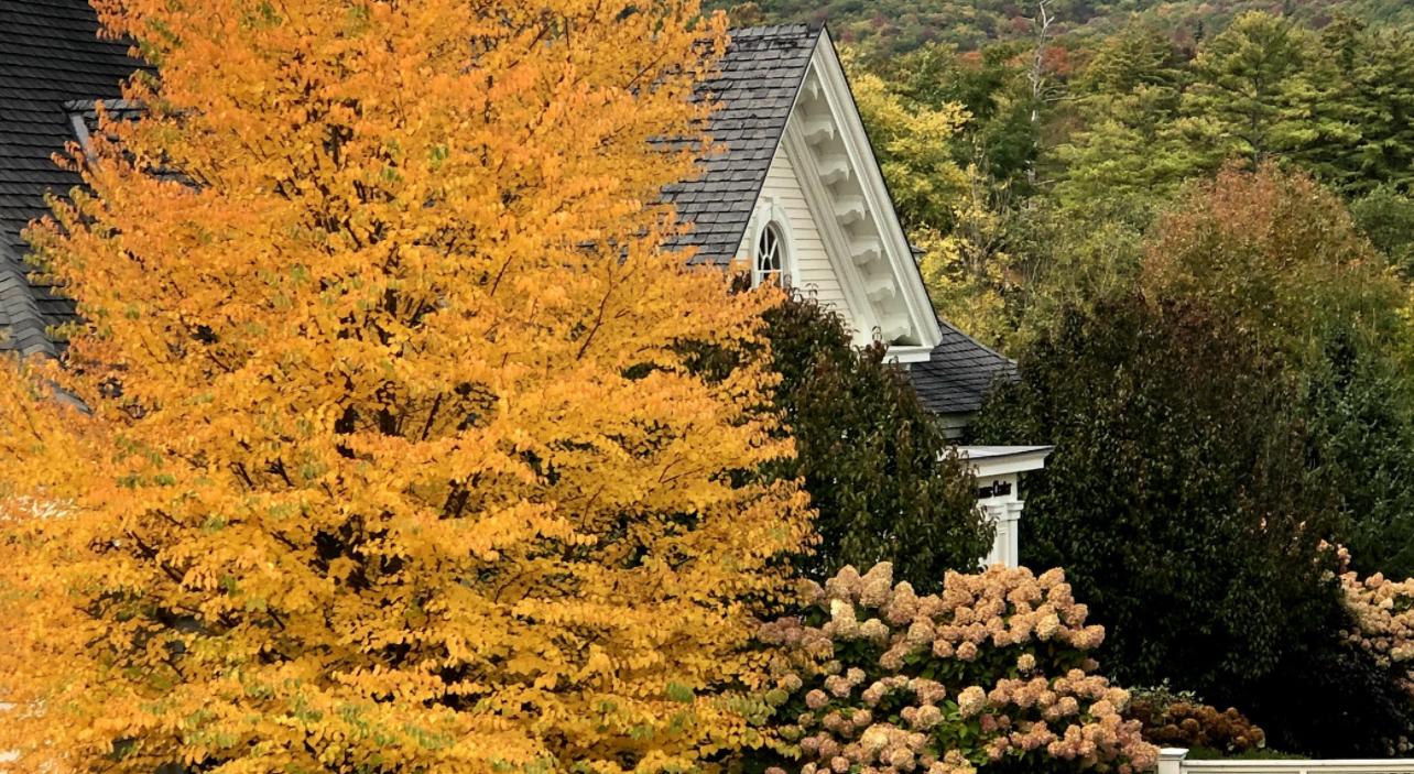 Karen Lotrecchiano and Karl Sleight's Wedding Website