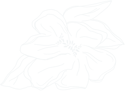 Andrea Erwin and Marshall Nolff Jr.'s Wedding Website