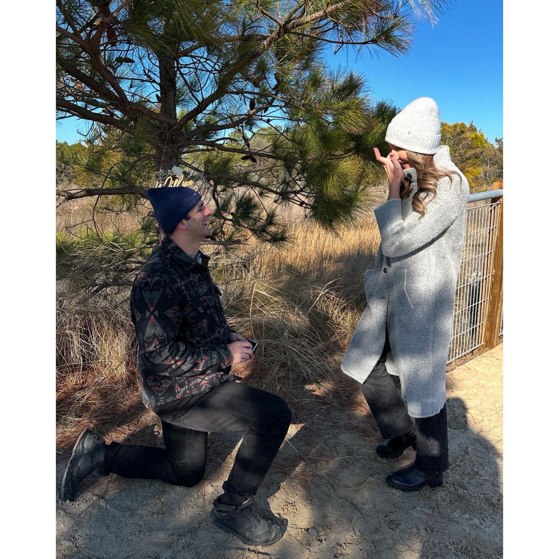 Kristi Edwards and Nick Cotrone's Wedding Website