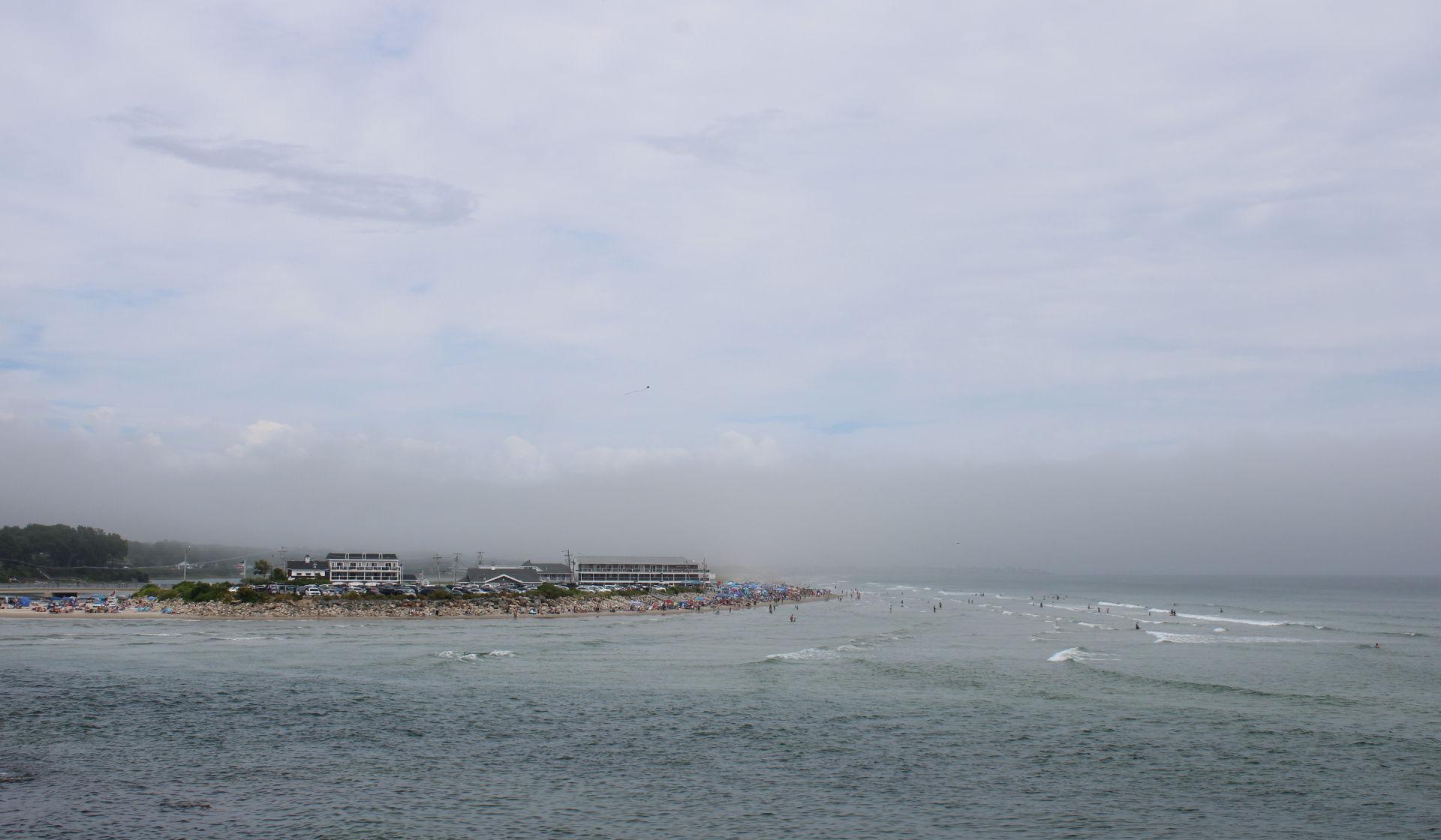 Kelly Reuter and Michael Rodriguez's Wedding Website