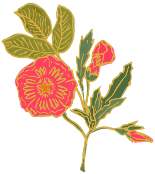 Casey Estorque and Sam Langner's Wedding Website