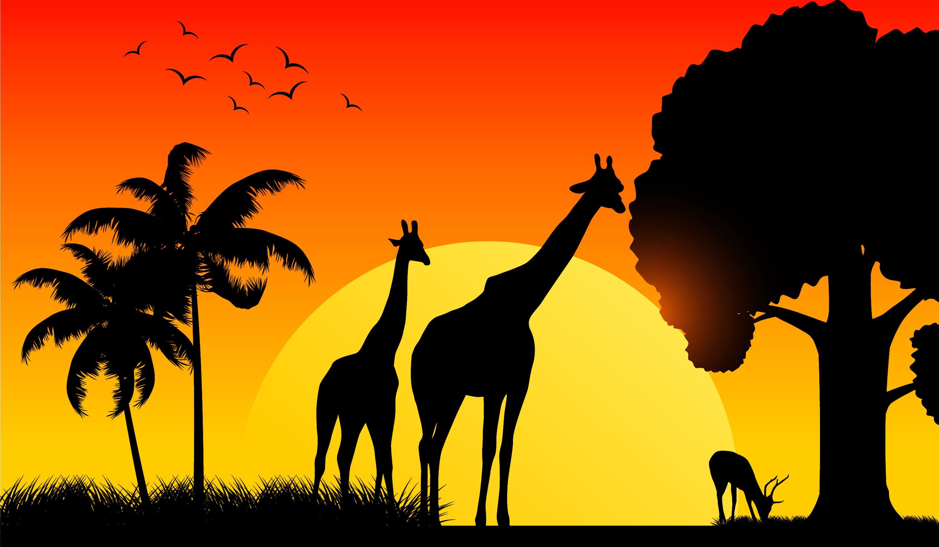 Lauren Elizabeth Herzberg and Zackary Lane Freeman's Wedding Website