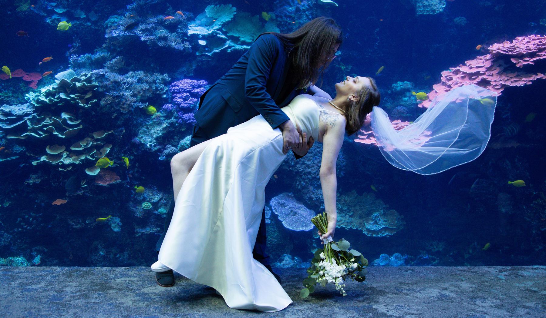 Emma Dowling and Felipe Maschio's Wedding Website