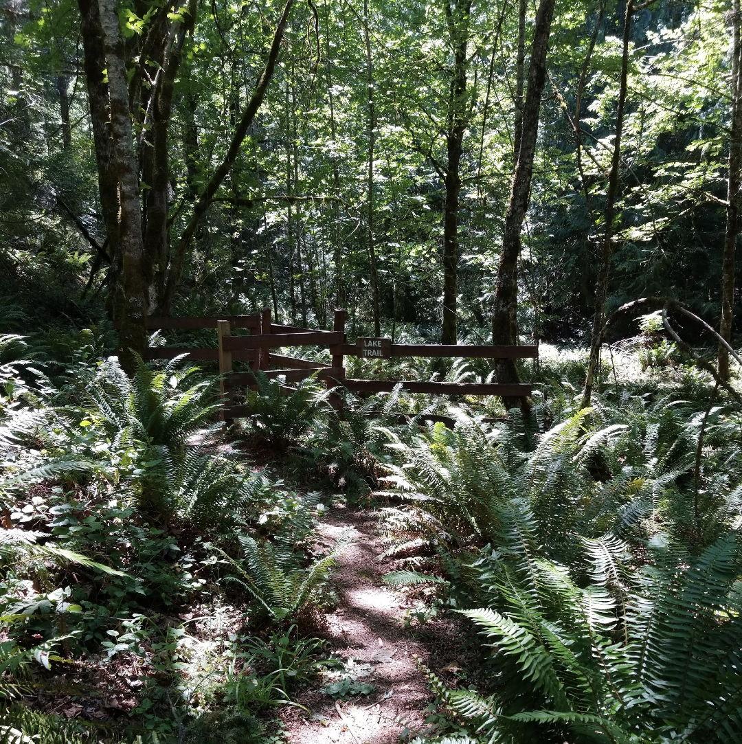 Howe Simpson and Jessie Fitzpatrick's Wedding Website