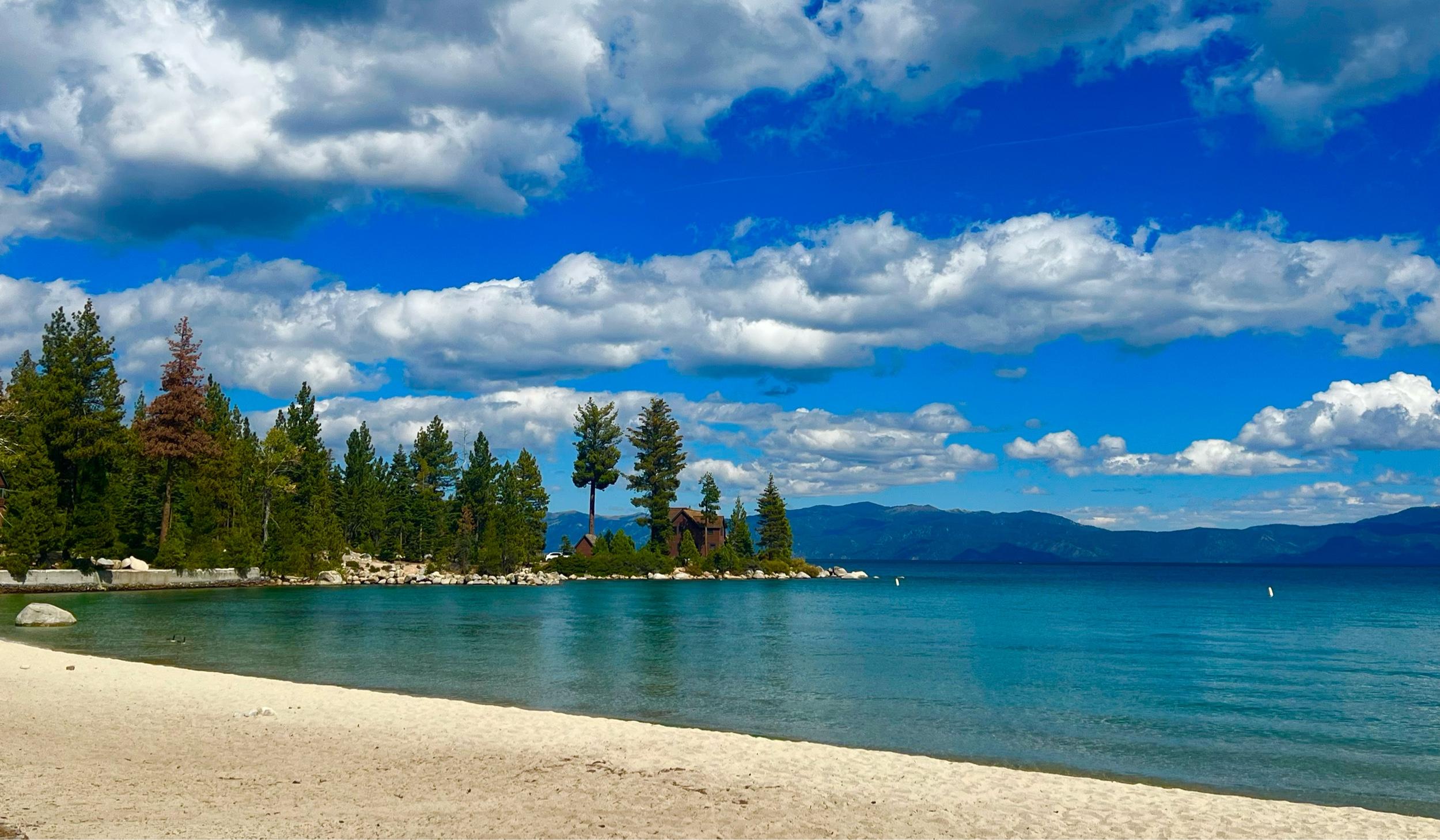 Mark Thomsen and Elizabeth Koenig's Wedding Website