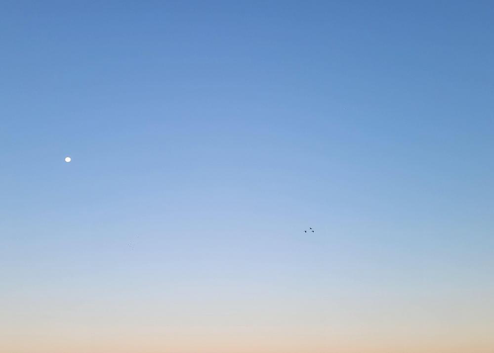 Ken Cargill and Travis Slater's Wedding Website