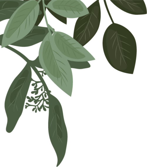 Sarah Vande Hey and Henry Renn's Wedding Website