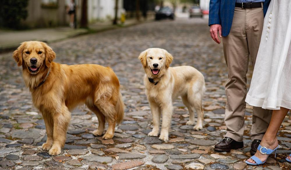 Mary Alice Creasy and Jeff Jones' Wedding Website