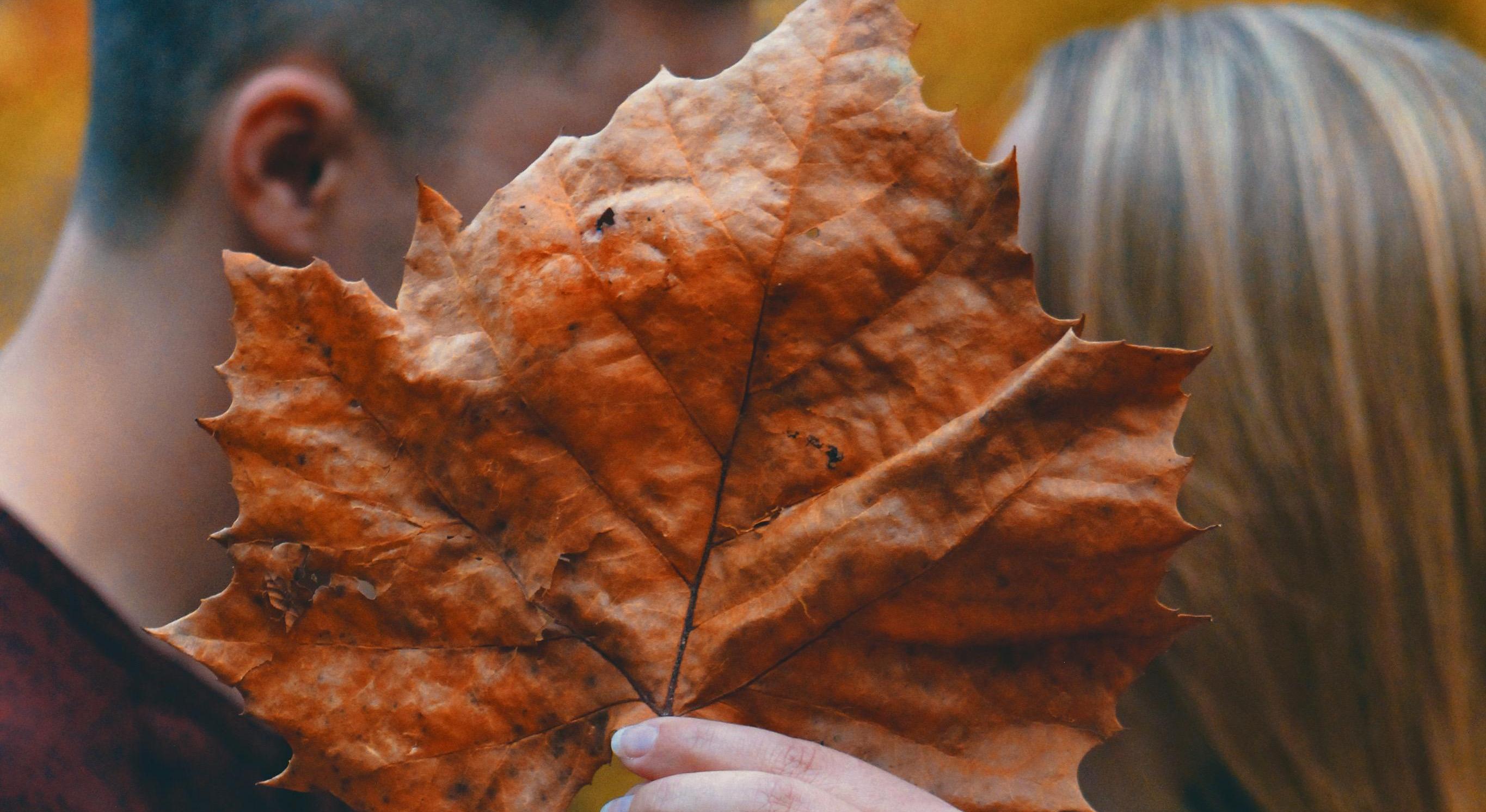 Bethany Berry and Caleb Rowe's Wedding Website