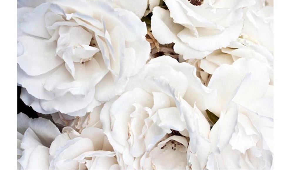 Sulamith Lutz and David Shepler's Wedding Website