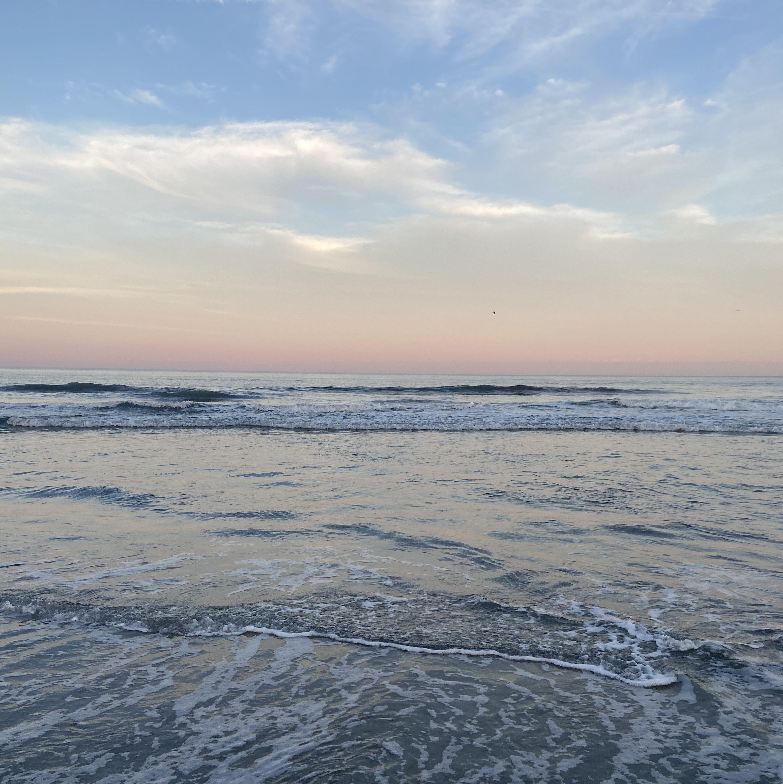 Melissa Loiacono and Blaise Connor's Wedding Website