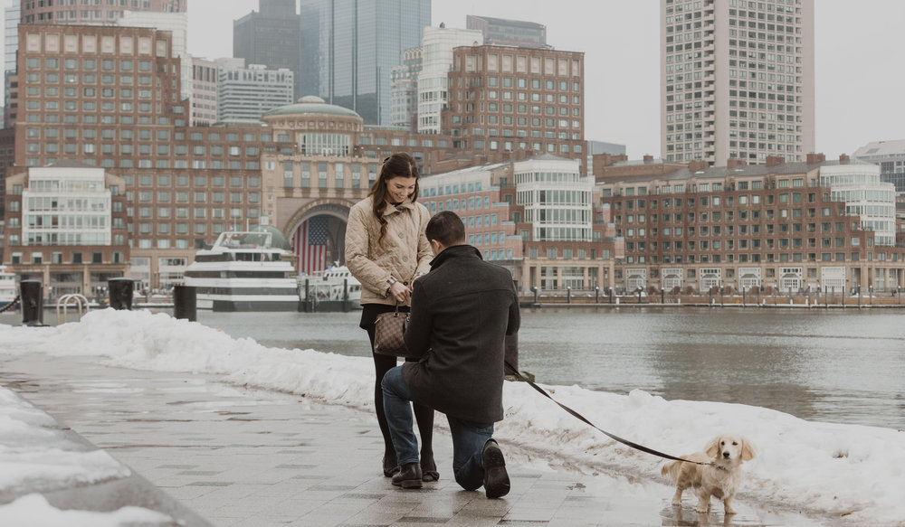 Sean Rondeau and Gabrielle Drapeau's Wedding Website