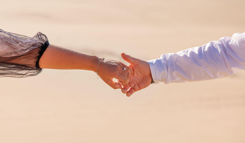 Lauren Wieber and Justin Palmbos' Wedding Website