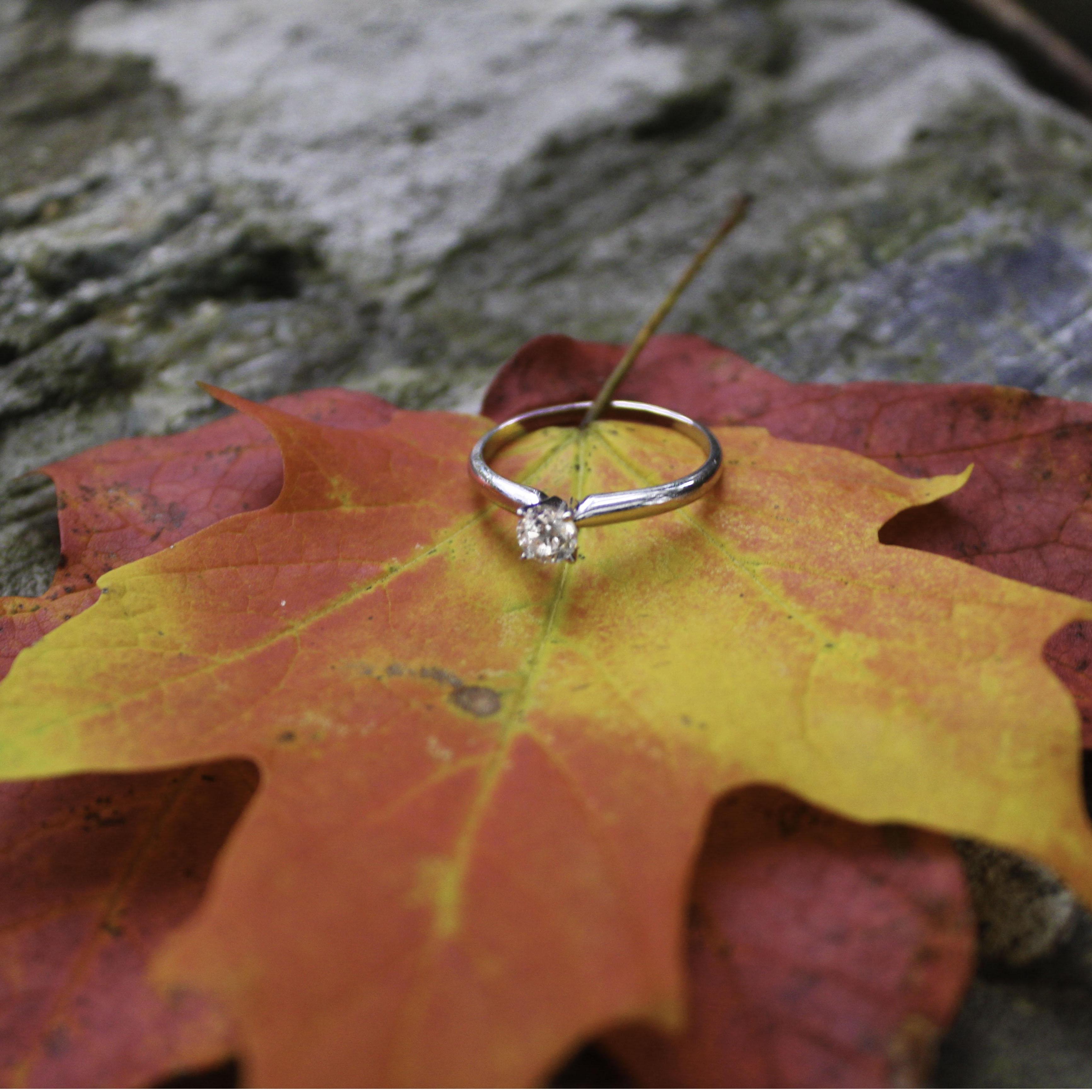 Meaghan Stewart and John Mannino's Wedding Website