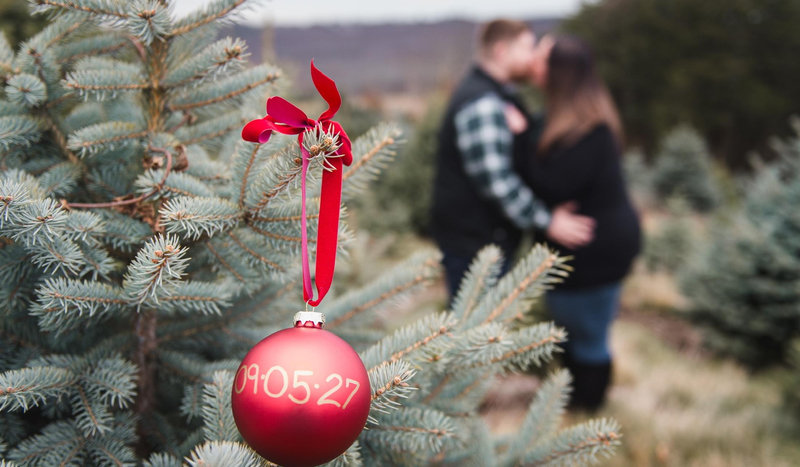 Jennifer Cerruto and Anthony Stedman's Wedding Website
