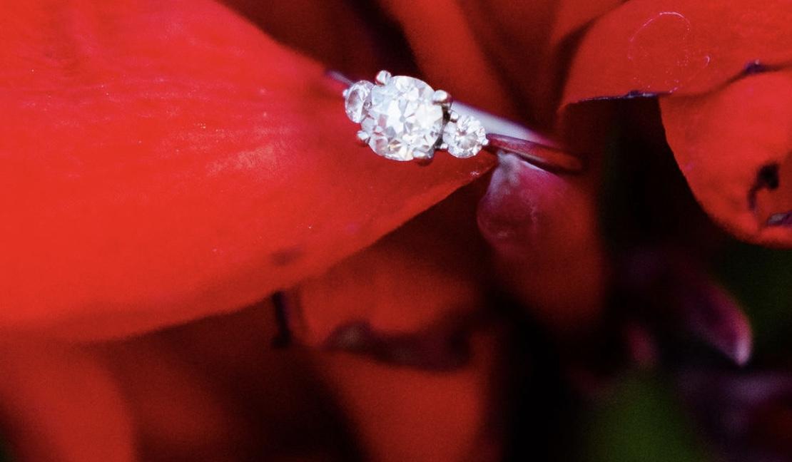 Drew Cowen and Brigham Krogstad's Wedding Website