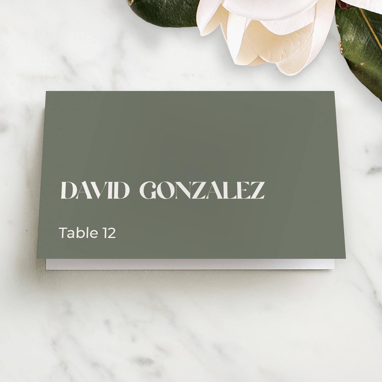 Zola Wedding Place Cards - Micco