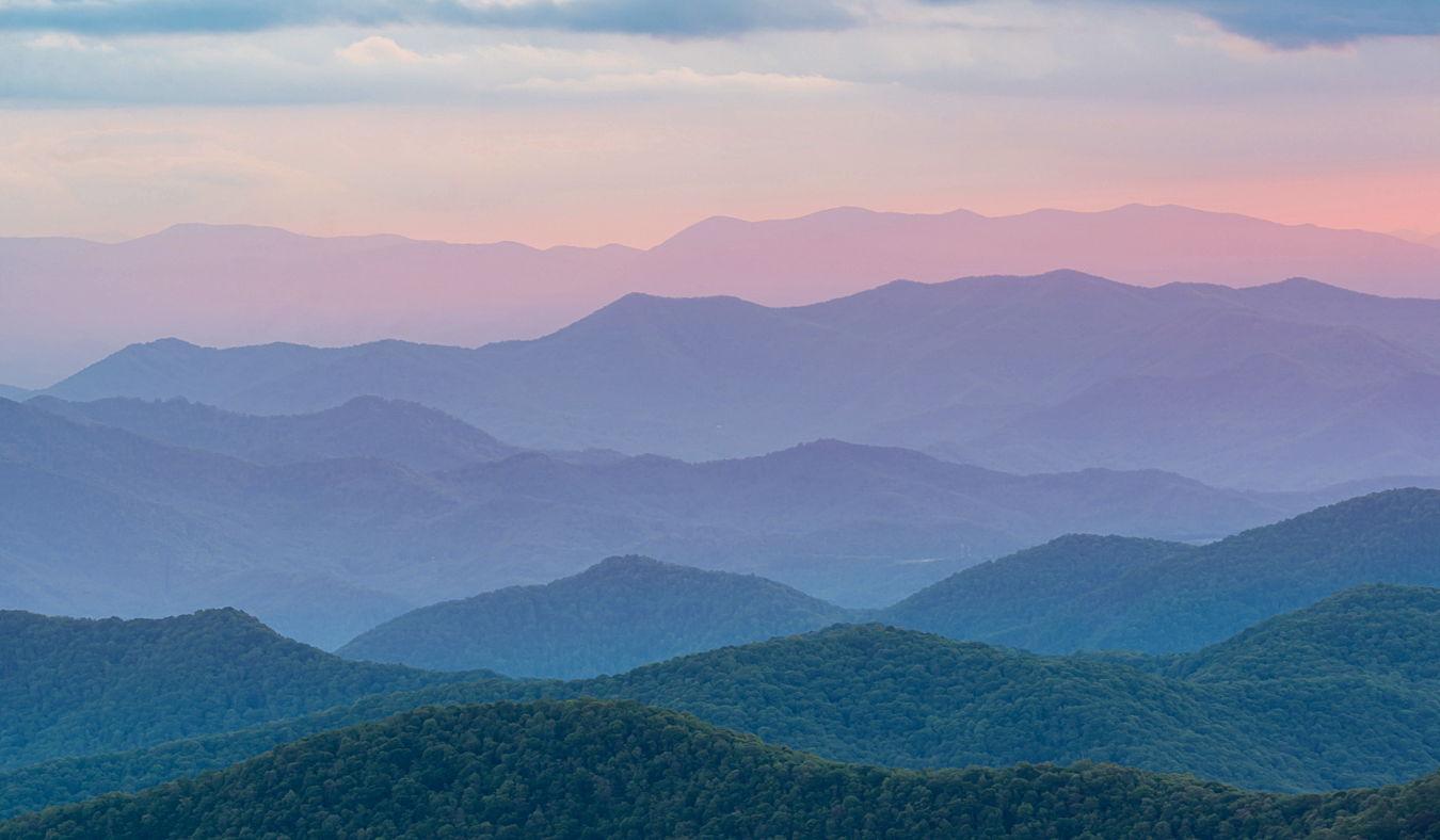 Jay Sims and Claire Bremer's Wedding Website