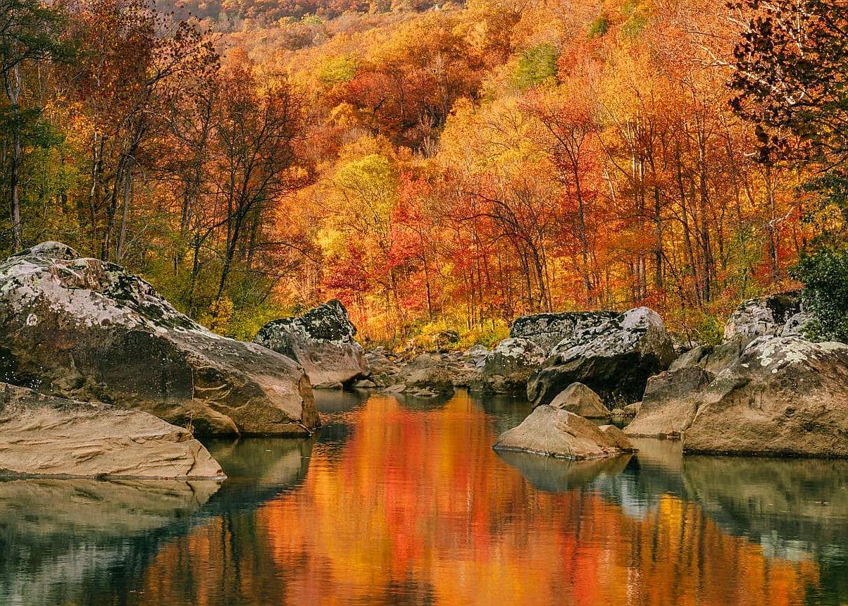 Red Sutton and Logan England's Wedding Website