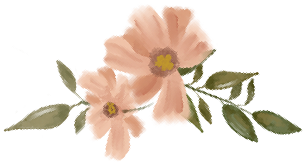 Amanda Bono and Dennis Andreopoulos' Wedding Website