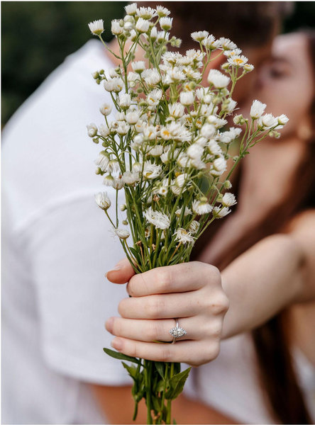 Abigail Camp and Jackson Geerts' Wedding Website